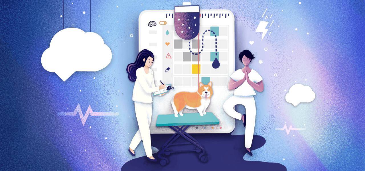Virtual Tour of the High-Performing Veterinary Emergency Hospital ...