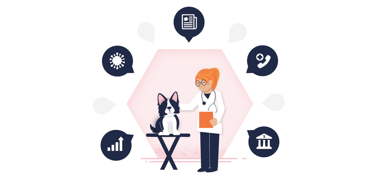 5 Helpful Blogs and Newsletters Every Veterinarian Should Know ...