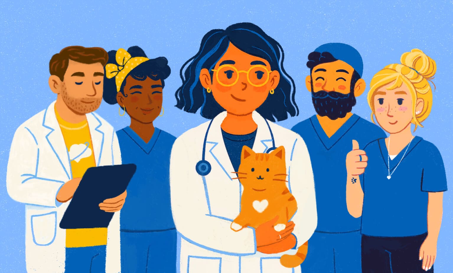 How to Train Your Veterinary Team on a New PIMS (Without Losing Your ...