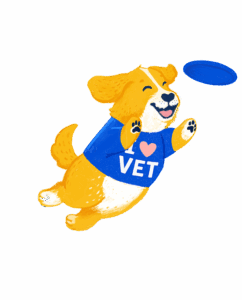 Instinct | Veterinary Software for Safer, Smarter Hospitals